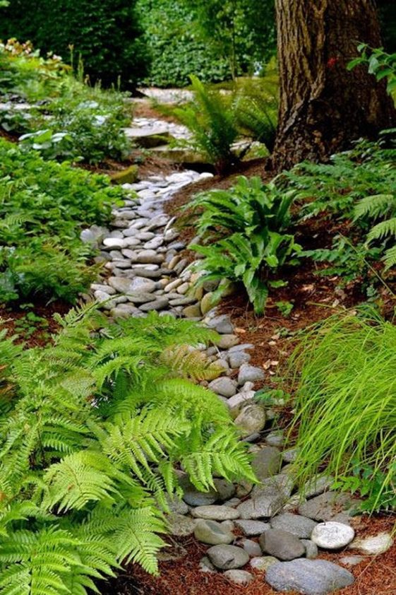 30 Great Rain Garden Landscaping Design Ideas - Page 8 - Gardenholic