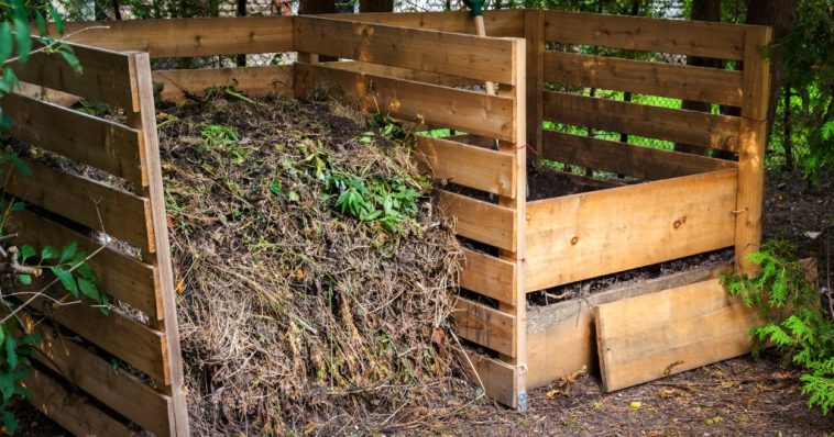 The Best Mulch for Landscaping - A Comprehensive Guide