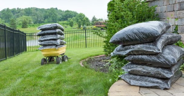 The Best Mulch for Landscaping - A Comprehensive Guide